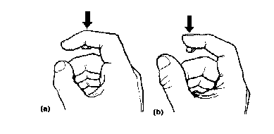 Army Marksmanship Unit Pistol Training Guide